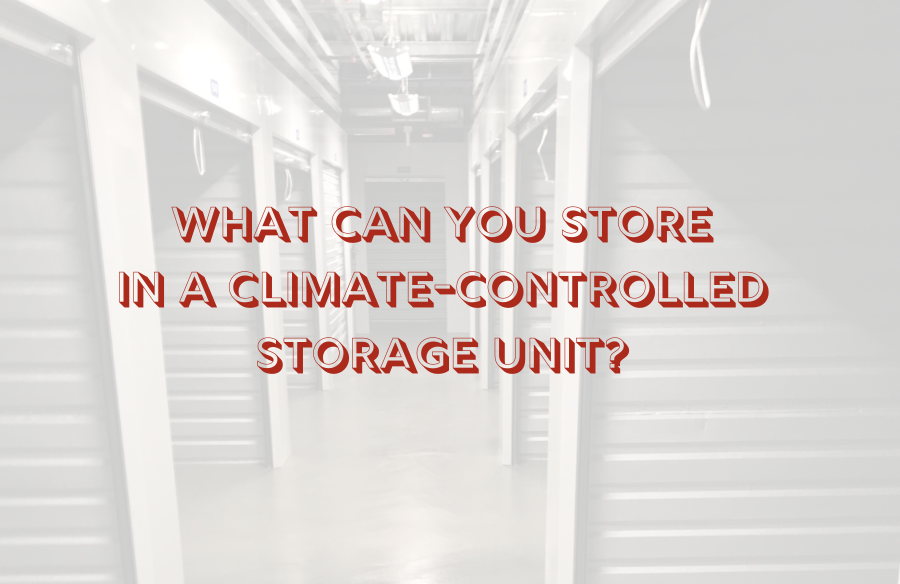 Climate Controlled Storage: What Can You Store?