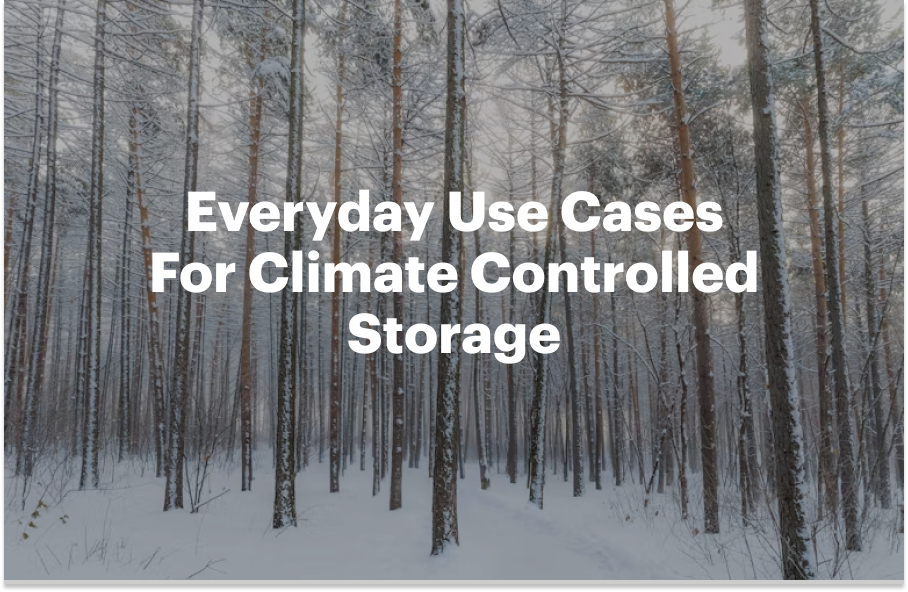 Use Cases For Climate Controlled Storage