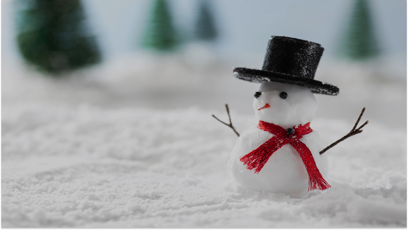 Stress-Free Holiday Prep & Smart Storage Tips
