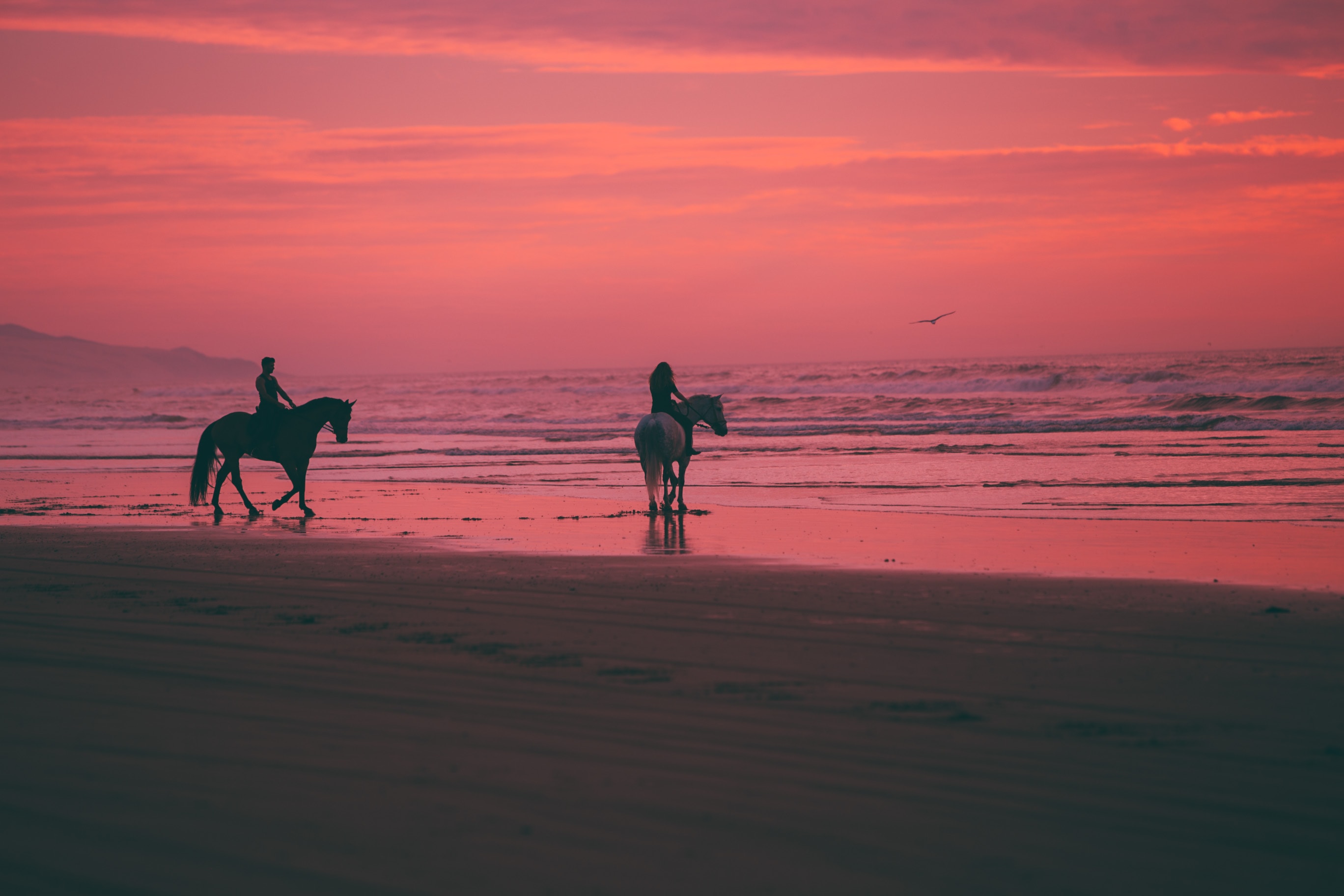 The Most Romantic Things To Do In Virginia Beach 24 Seven Storage the-most-romantic-things-to-do-in-virginia-beach-24-seven-storage