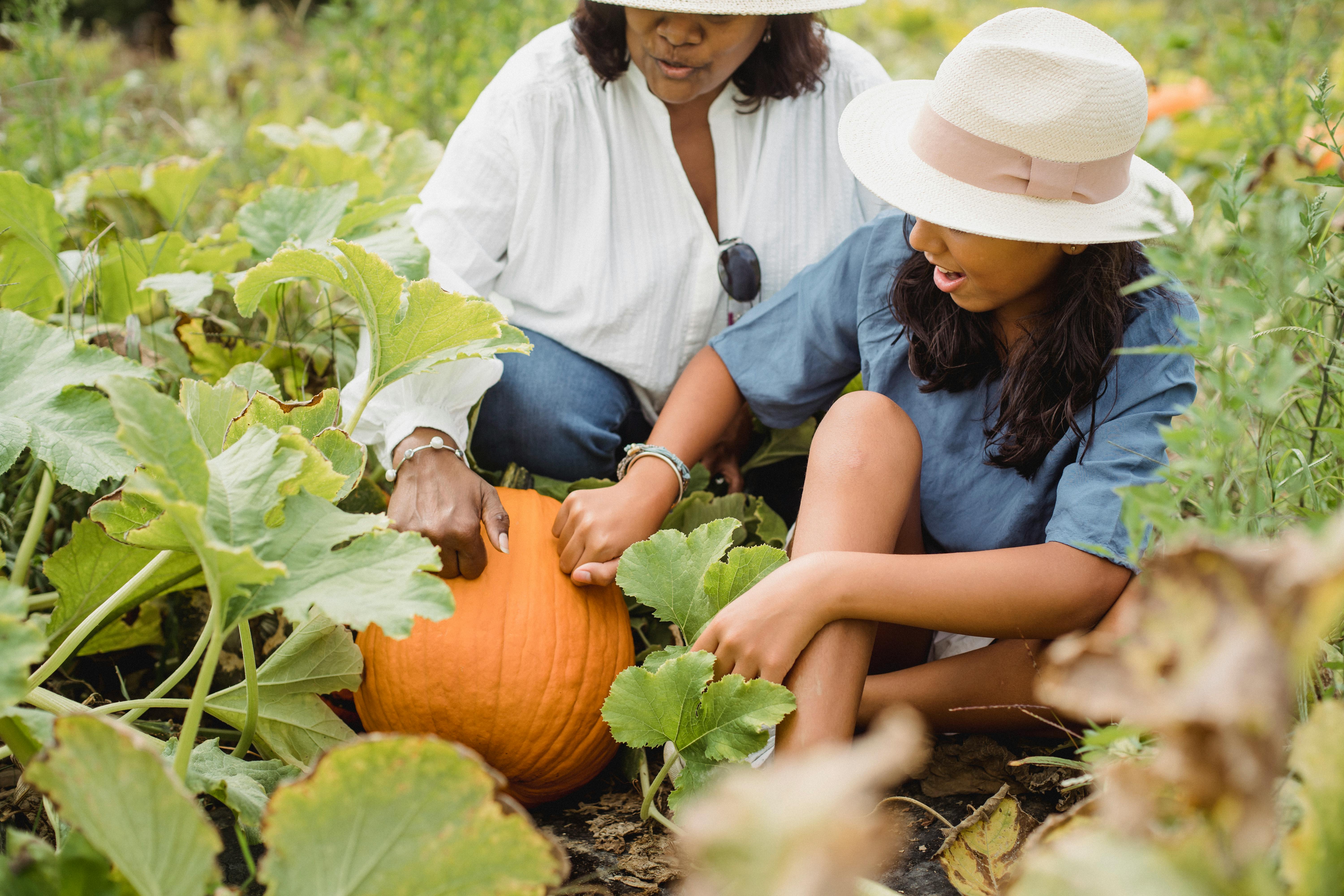 It’s the Great Pumpkin Patch | Fortress-Secure Mini-Storage